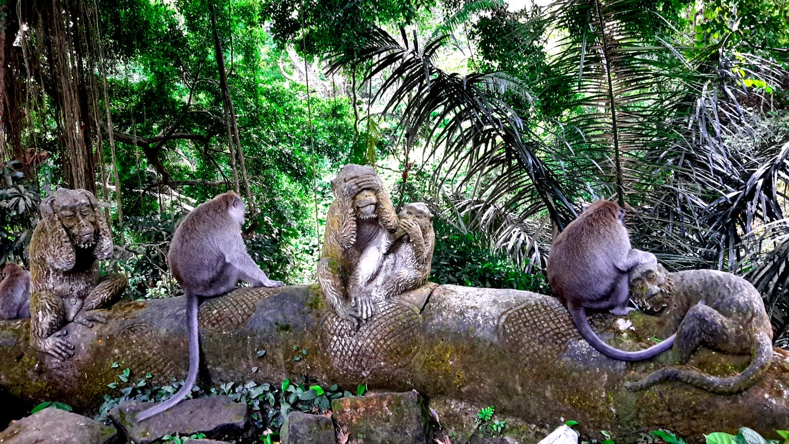 How To Visit Sacred Monkey Forest Sanctuary In Ubud, Bali